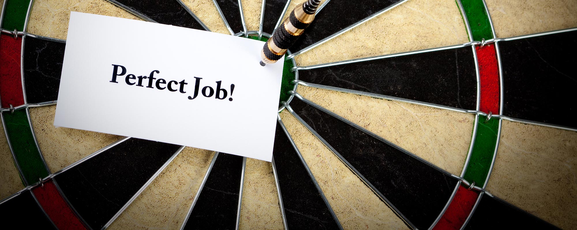 Kimmel.com | Finding the Perfect Job